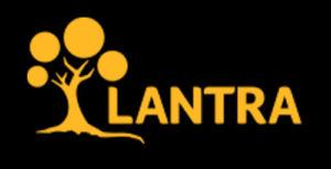 Elite Recruitment Group | Traffic Management